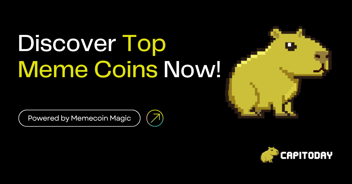 DEX Paid Checker | Token Verification on Capitoday